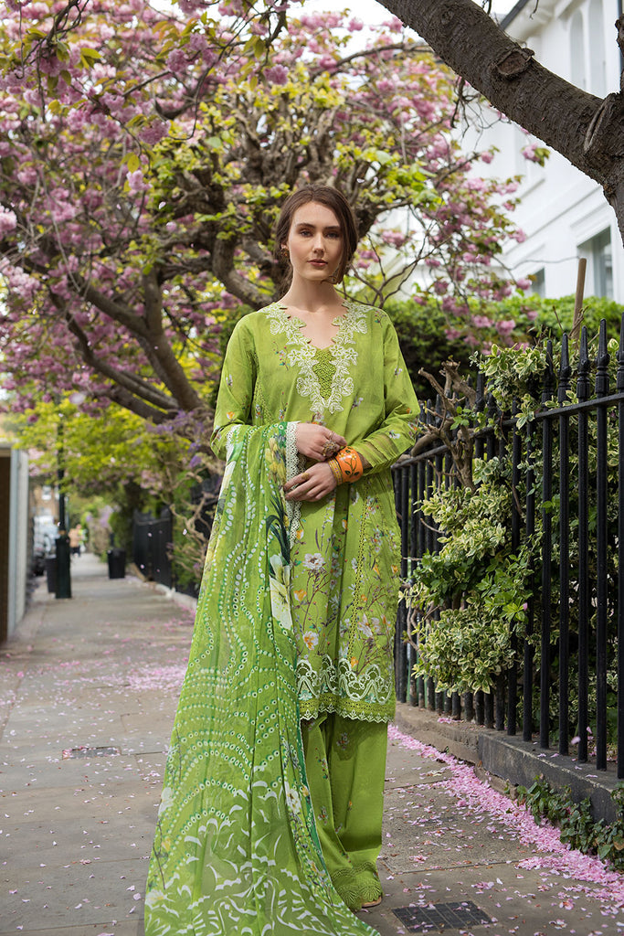 Design 3A SN Basics 2025 UNSTITCHED – Alanii Official